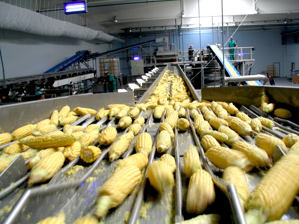 Cleaning and sorting solutions - FEMIA INDUSTRIE Cleaning and sorting solutions - FEMIA INDUSTRIE