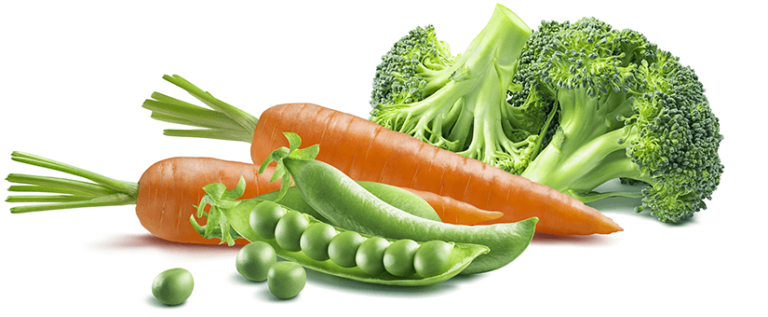Experts in processing - FEMIA INDUSTRIE Experts in processing - FEMIA INDUSTRIE